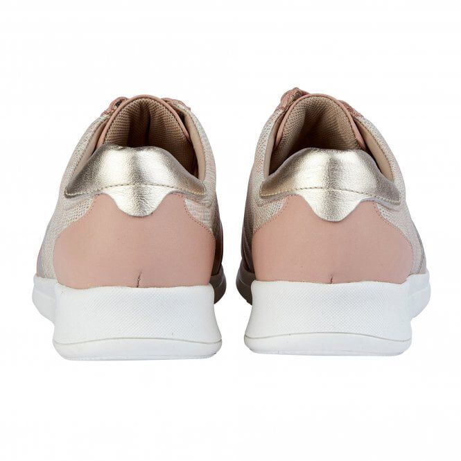 Lotus Stressless Leather Florence Lace-Up Trainers in Pink Colour ...